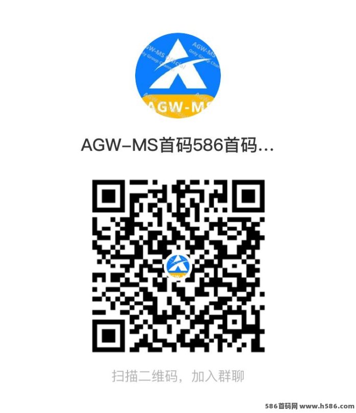 2025年~2026年 明星项目｜【AGW-MS】中华区首码对接中！ - 首码项目网